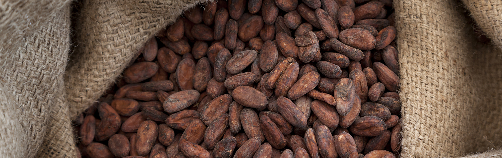 90% Reduction in Cocoa Humidity damage - OMA Group